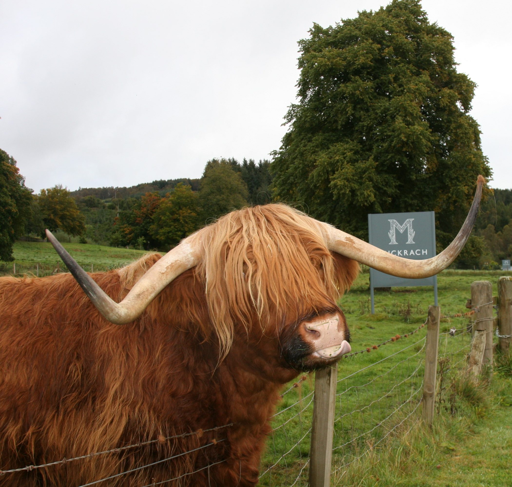 Dulnain Bridge Accommodation | Great North Lodges