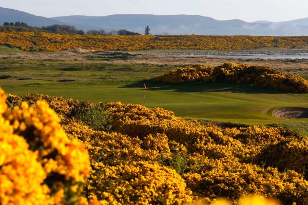 Discover Dornoch: A Hidden Gem on Scotland’s Northern Coast | Great ...